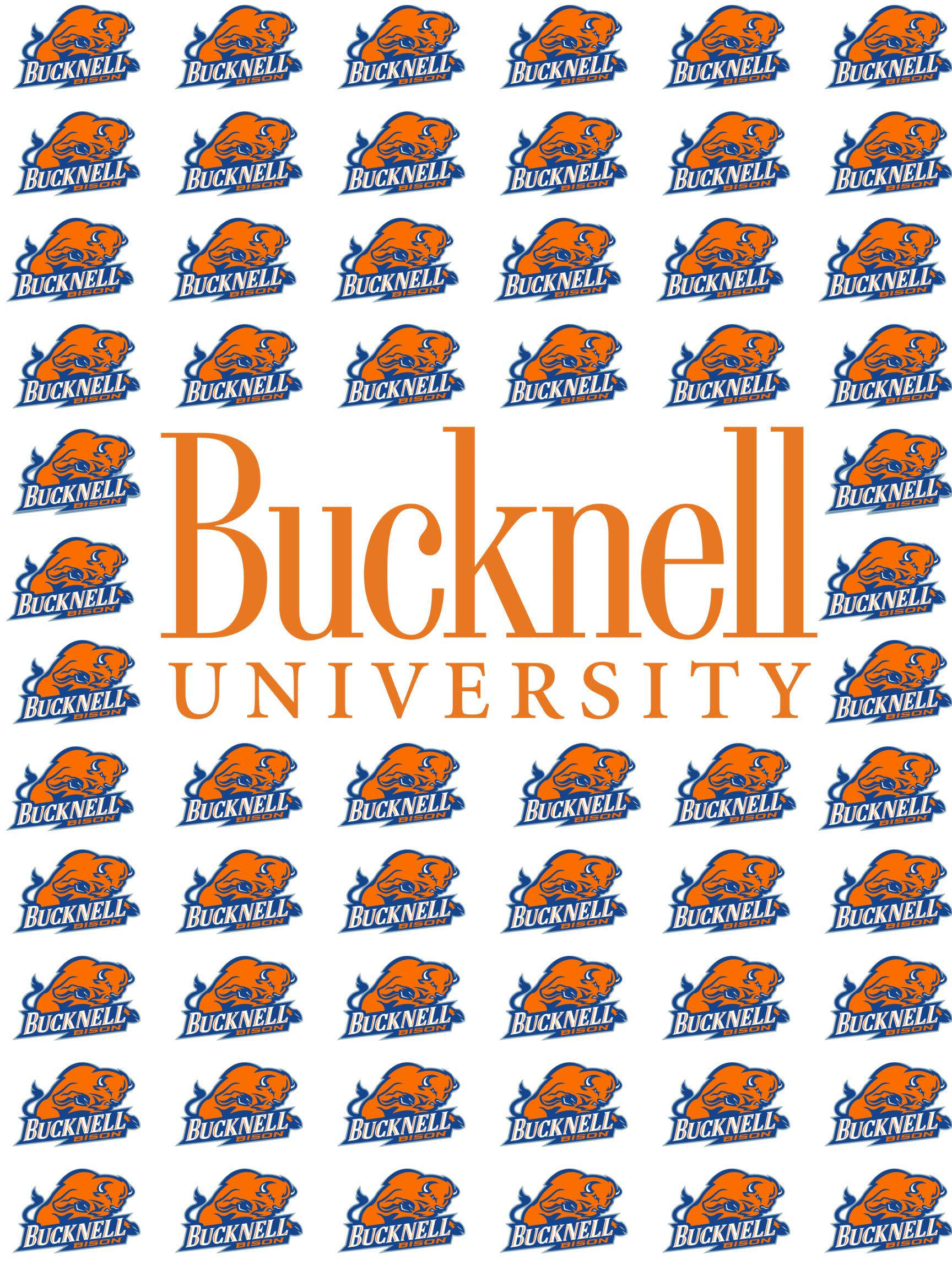 Scaffolding Student Engagement and Fostering Professional Development